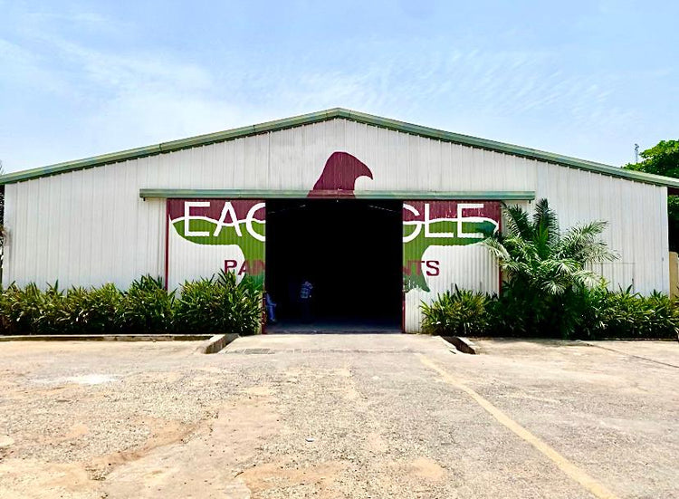 Eagle Paints Nigeria | Premium & Affordable Paints for Every Surface